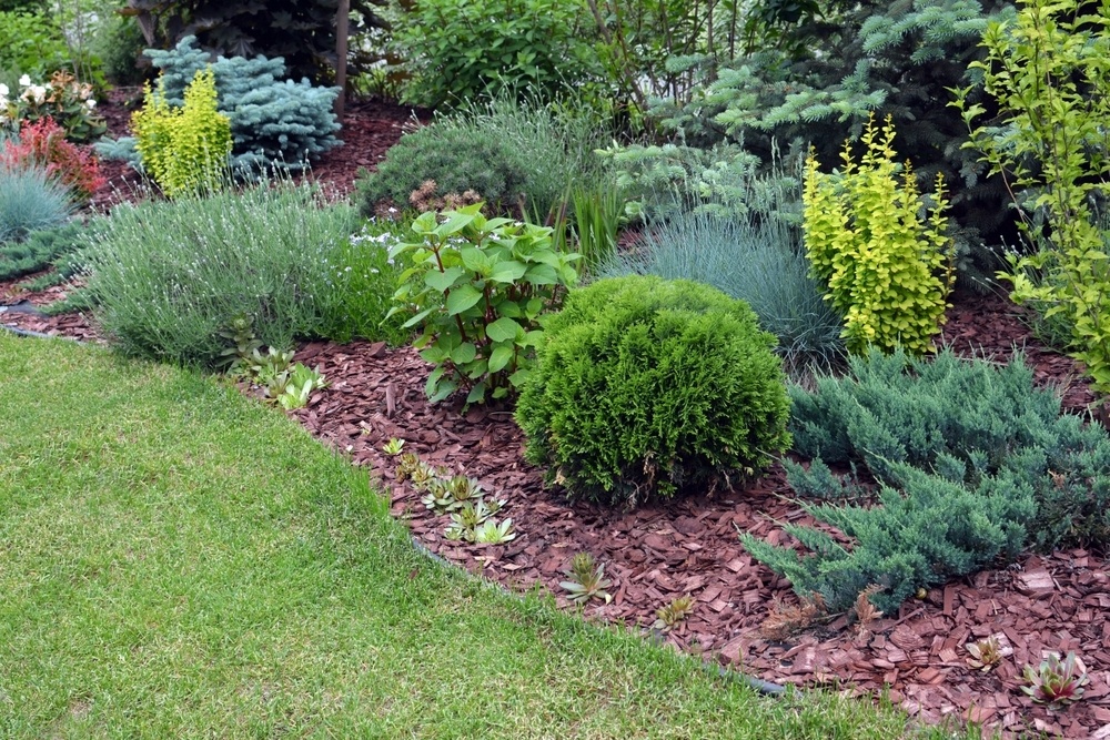 7 tips for low maintenance gardens - The Boma Garden Centre