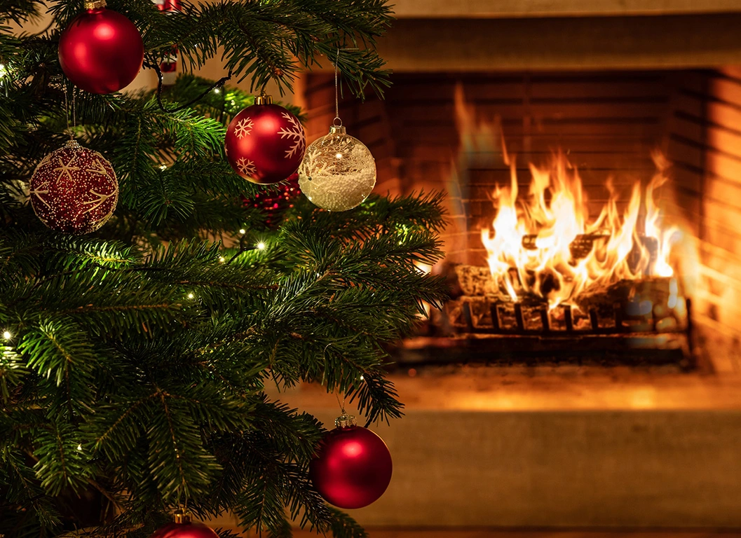 Real Christmas Trees Londons Festive Passion