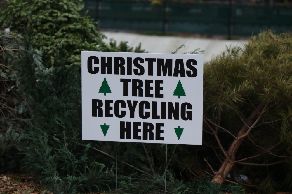 What to do with your real Christmas tree after Christmas? - The Boma ...