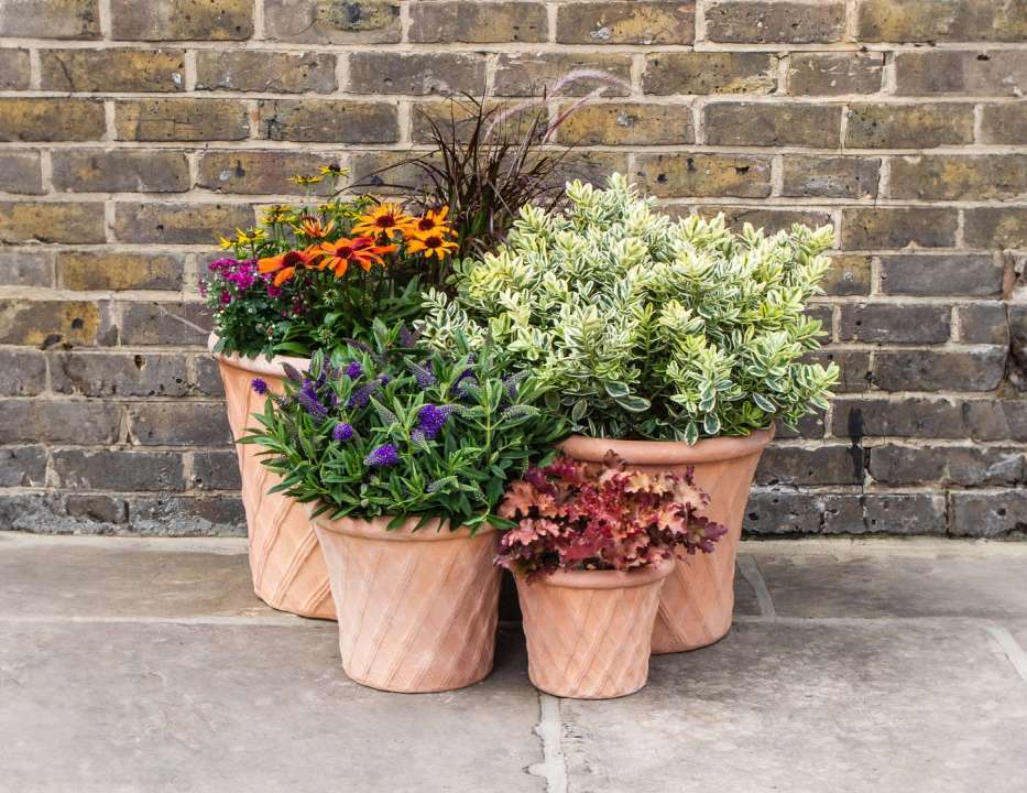 Garden Planters Outdoor Plant Pots Shop Online The Boma Garden Centre