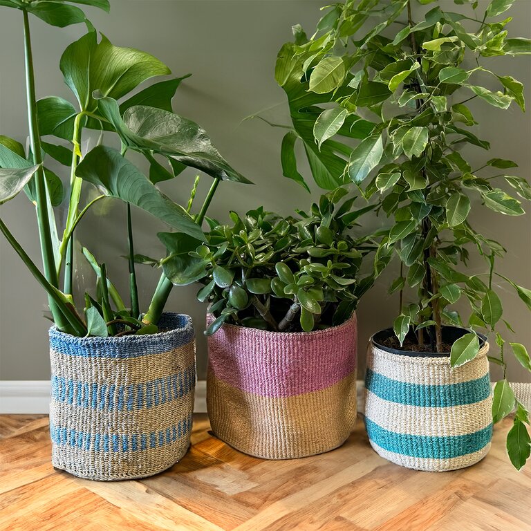 Indoor Basket Plant Pots | Boma Garden Centre - The Boma Garden Centre