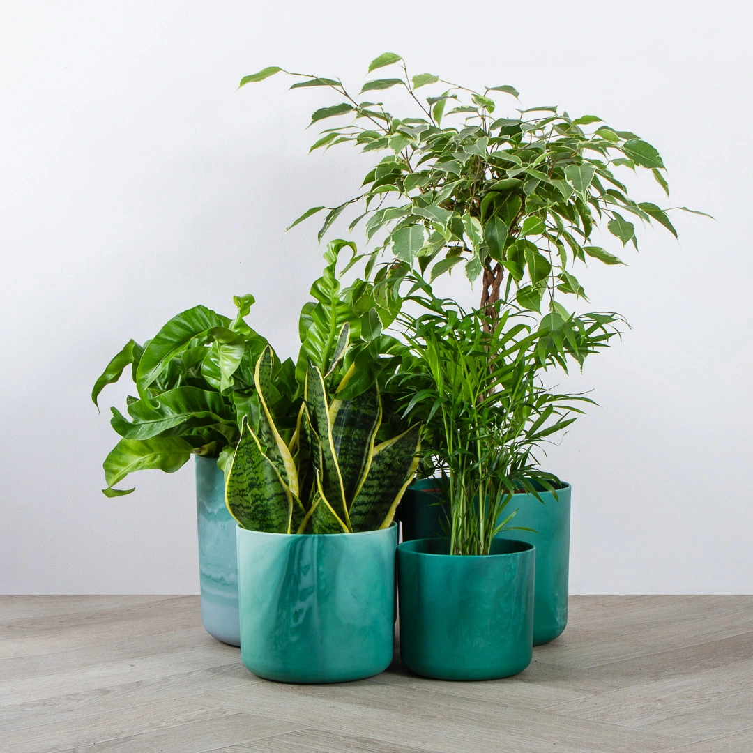 Elho Ocean Collection Green (Pot Size 22cm) Indoor Plant Pot Cover ...