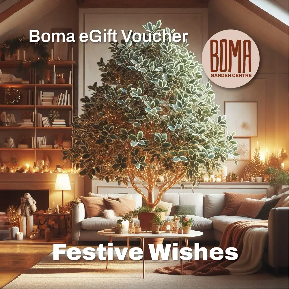 "Festive Wishes" eGift Voucher - The Boma Garden Centre