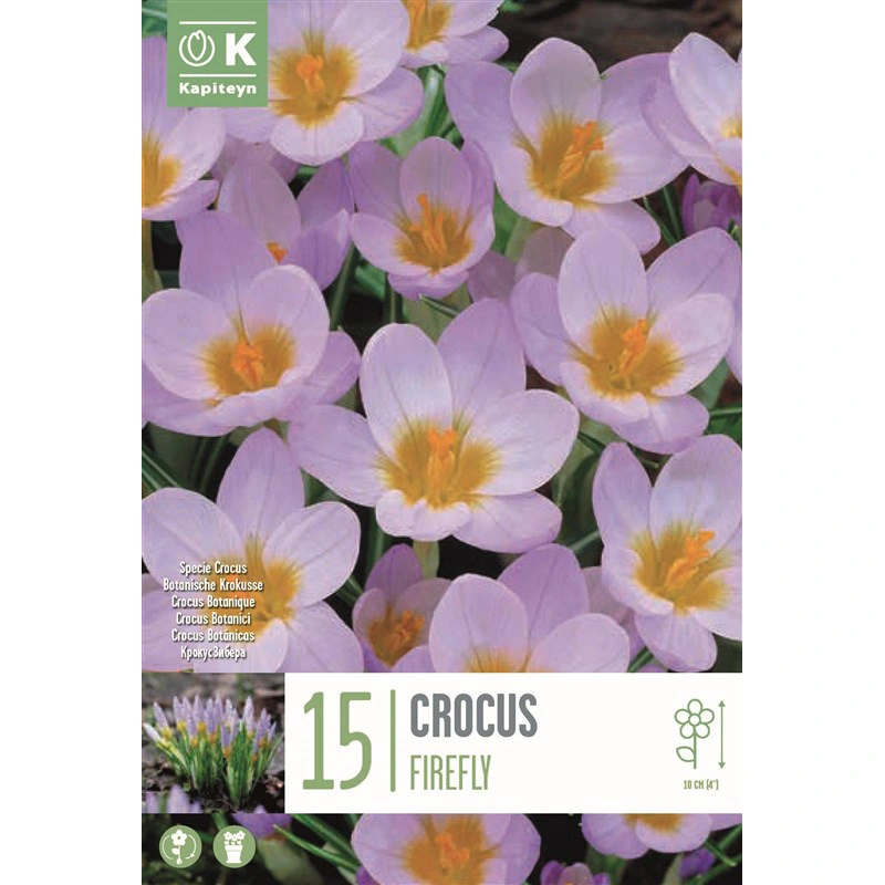 Flower Bulbs - Crocus 'Firefly' (10 Bulbs) - The Boma Garden Centre