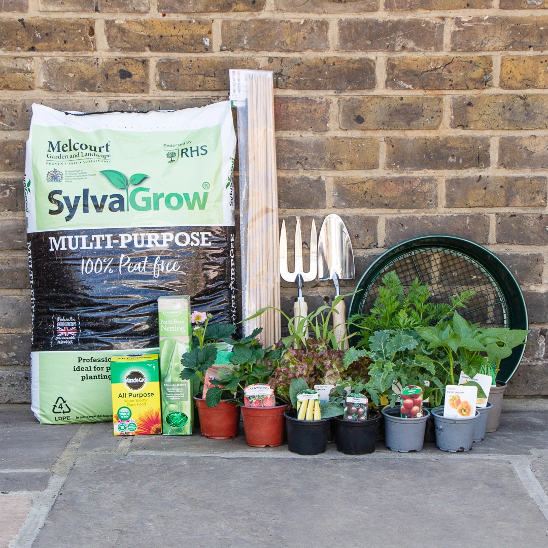 Grow Your Own Veg Garden Gift Set - The Boma Garden Centre