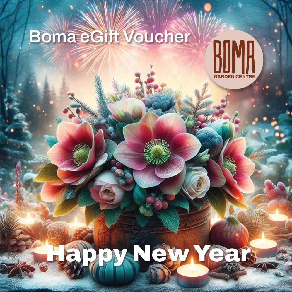 "Happy New Year" eGift Voucher - The Boma Garden Centre