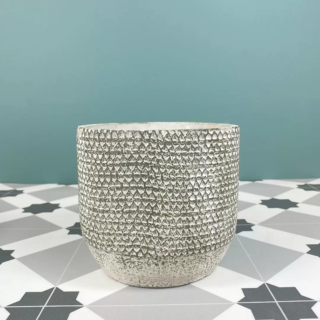 Jack Pot Green (Pot Size D12.5cm x H14cm) Indoor Plant Pot Cover - The ...