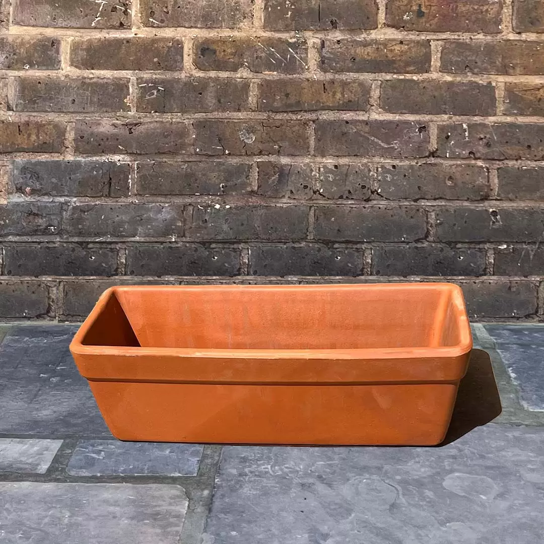 Liscia Terracotta Window Box Trough Planter 50cm - The Boma Garden Centre