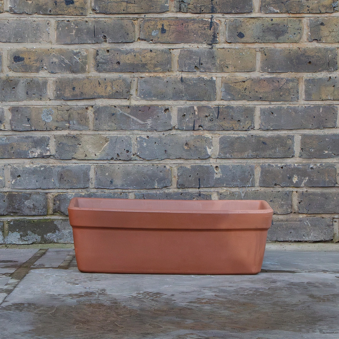 Liscia Terracotta Window Box Trough Planter 50cm - The Boma Garden Centre