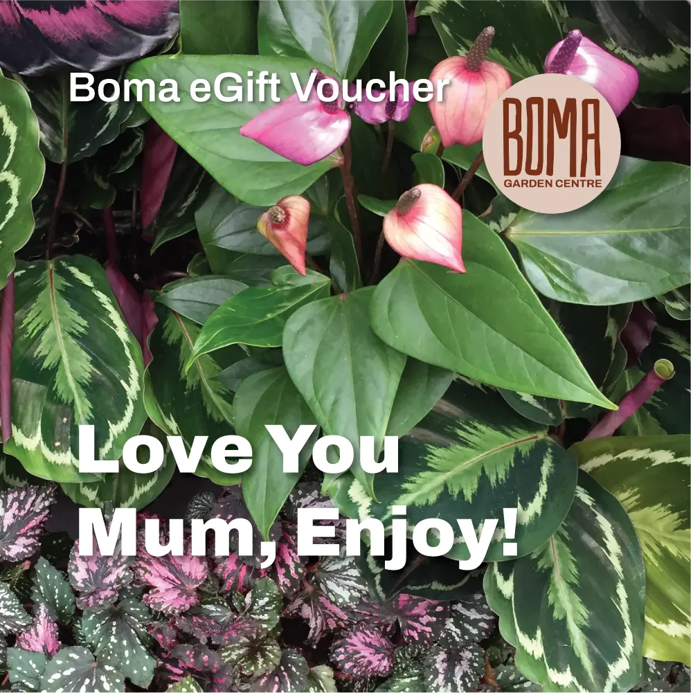 "Love You Mum, Enjoy!" eGift Voucher - The Boma Garden Centre