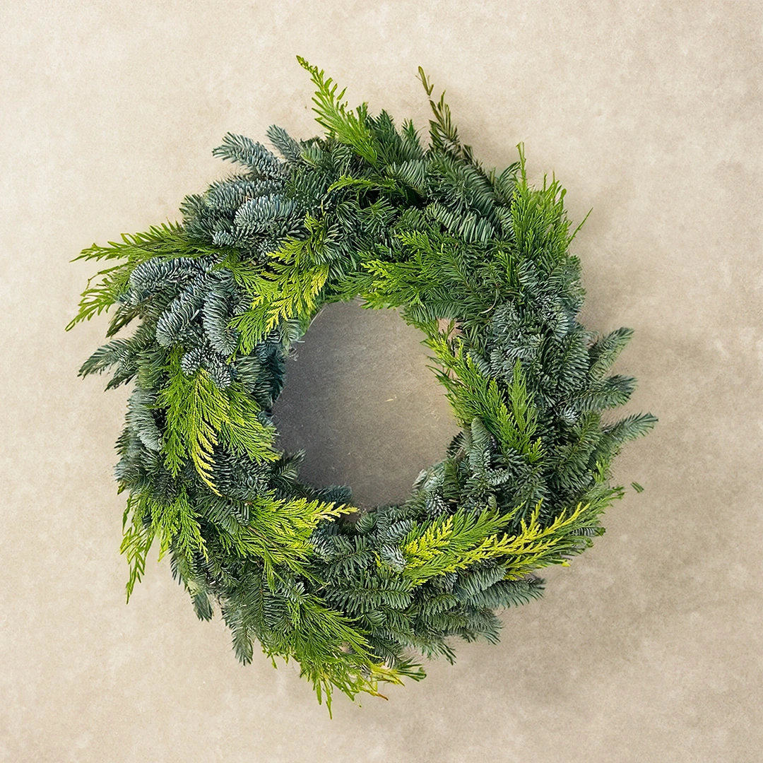 Mixed Pine Wreath (40cm) Christmas Wreath - The Boma Garden Centre