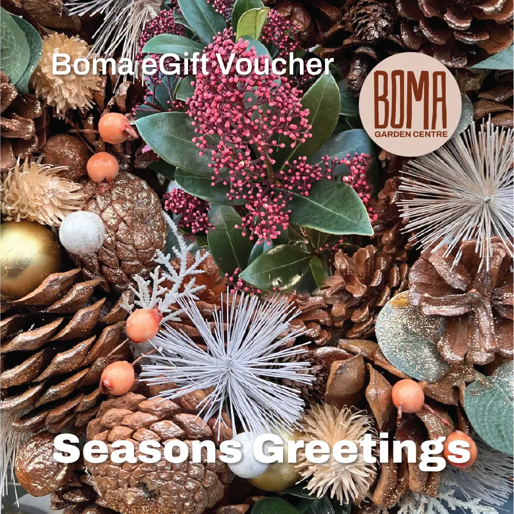 "Season's Greetings" eGift Voucher - The Boma Garden Centre