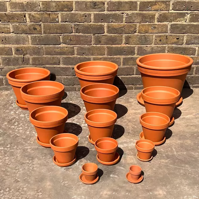 Standard Terracotta Pot Size 24cm Garden Planter - The Boma Garden Centre