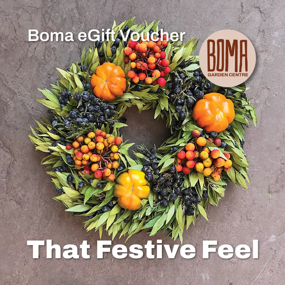 "That Festive Feel" eGift Voucher - The Boma Garden Centre