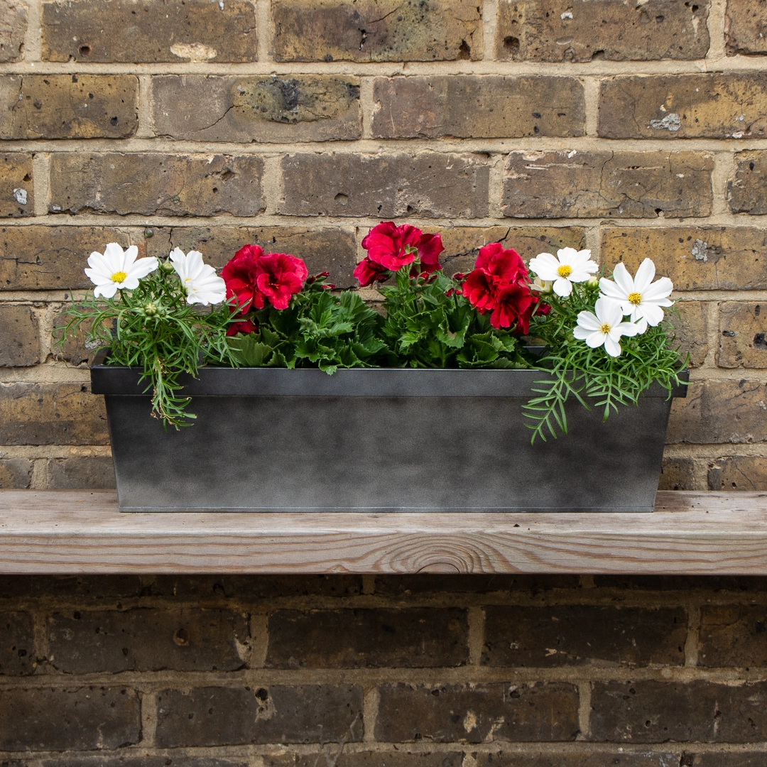 Zinc Trough Window Box Planter - Matt Anthracite 60cm - The Boma Garden ...