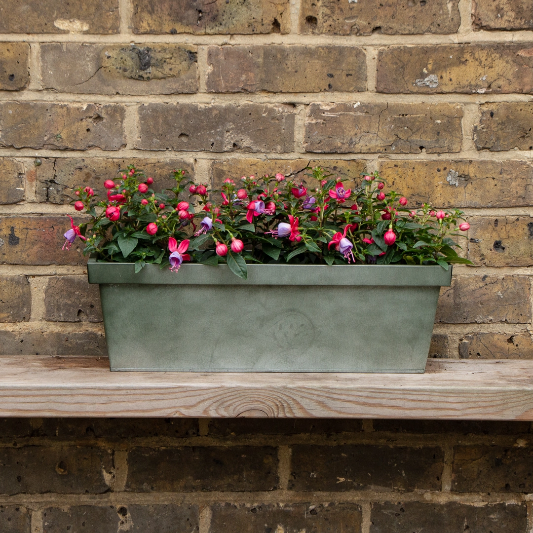 Zinc Trough Window Box Planter - Matt Green (L50cm x W17cm x H16cm ...