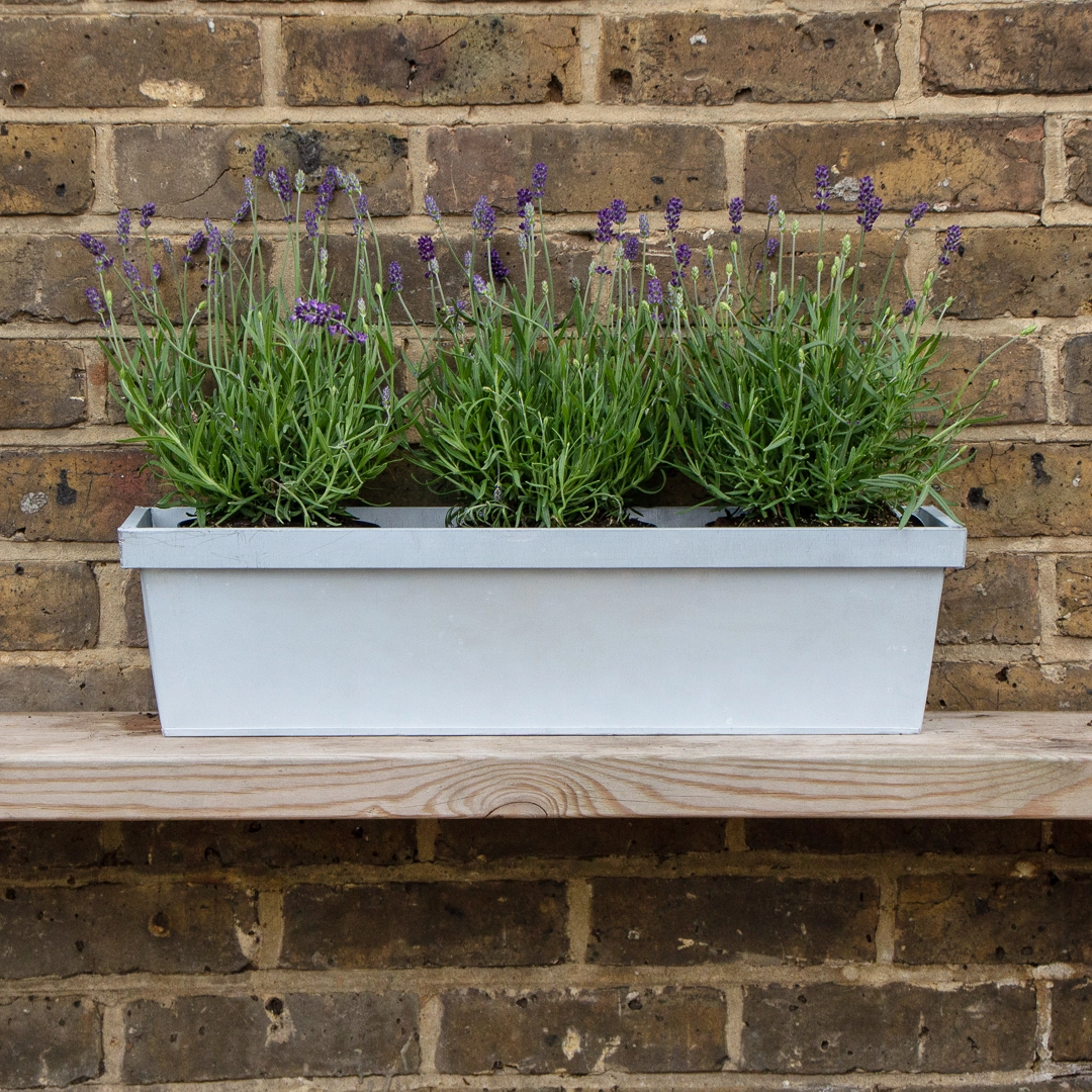 Zinc Trough Window Box Planter - Matt Grey (L60cm x W17cm x D16cm ...